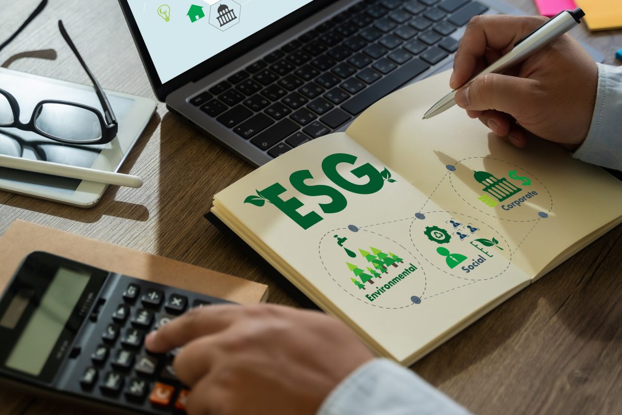 "ESG Reporting Standards: A Ready Reckoner"