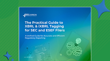 The Practical Guide to XBRL & iXBRL Tagging | SEC & ESEF Filers